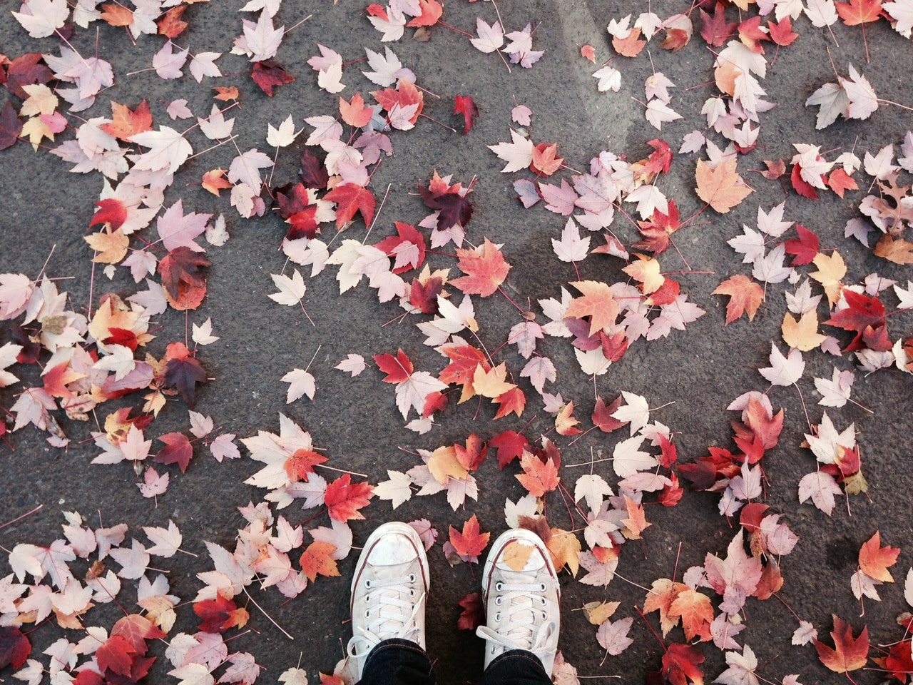 Making The Most Out Of Fall Leaves | Perennial Lawn Care