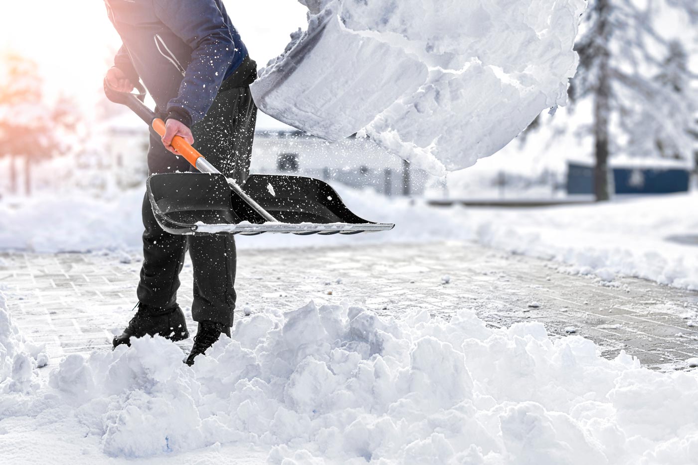 The Impact of Snow and Ice on Your Lawn: What You Need to Know ...